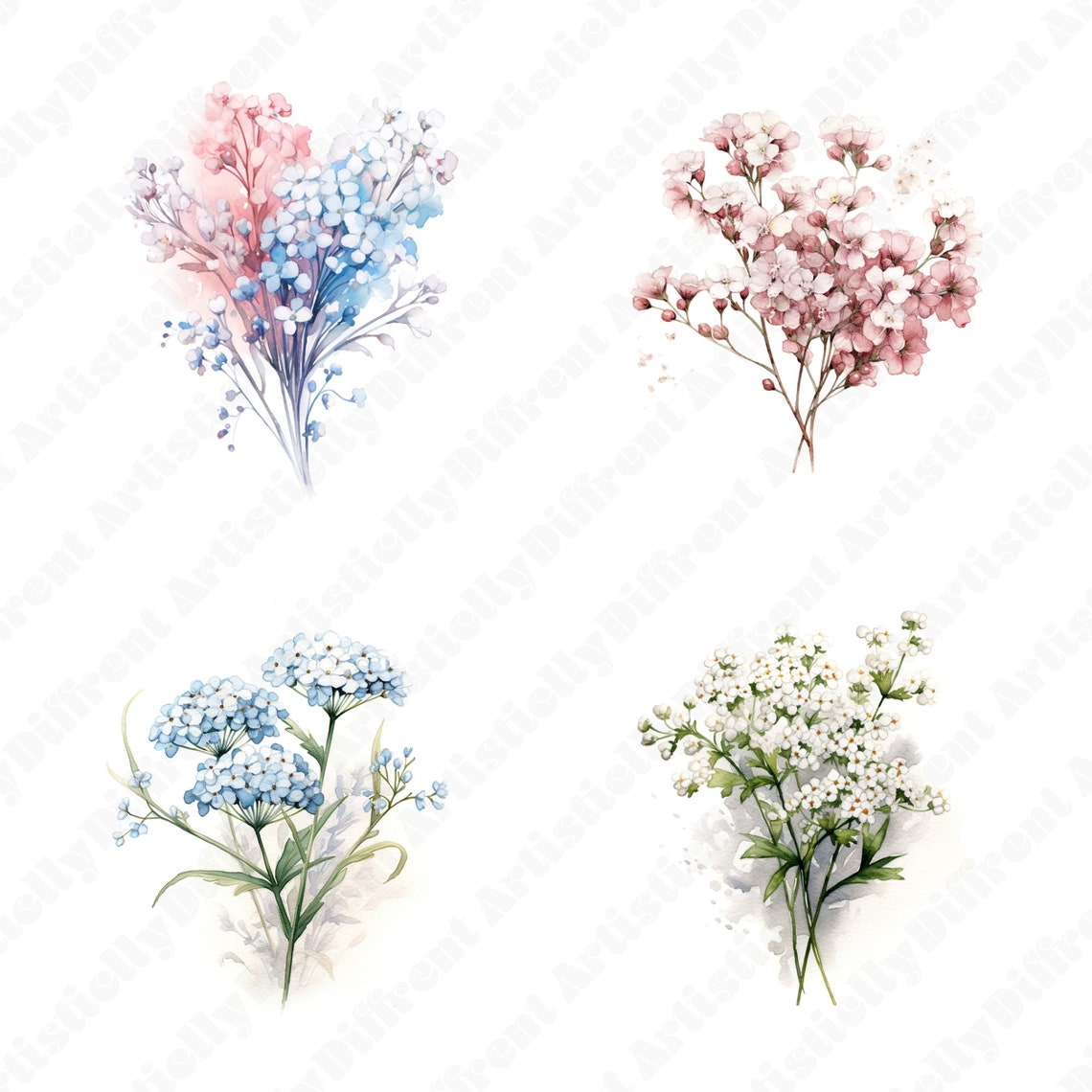 Baby's Breath | Flowers Clipart | JPG | Instant Download | Commercial ...