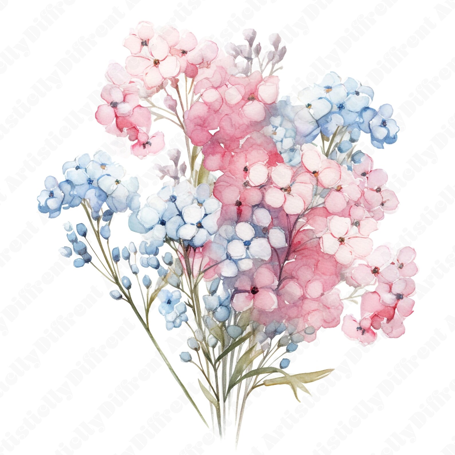 Baby's Breath | Flowers Clipart | JPG | Instant Download | Commercial ...