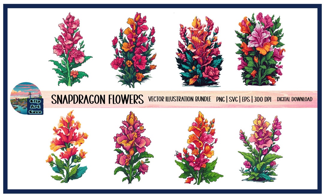 Snapdragon Flower Vector Illustration Bundle - Etsy
