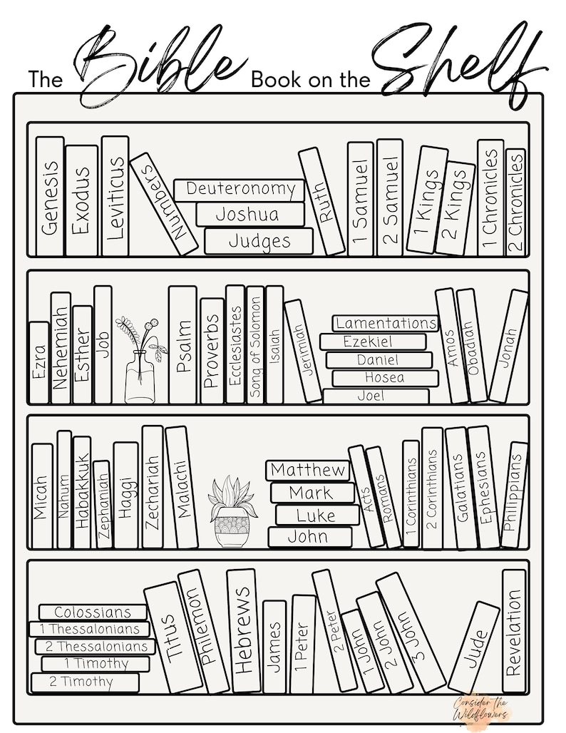 Bible Books Coloring Page Printable - Etsy