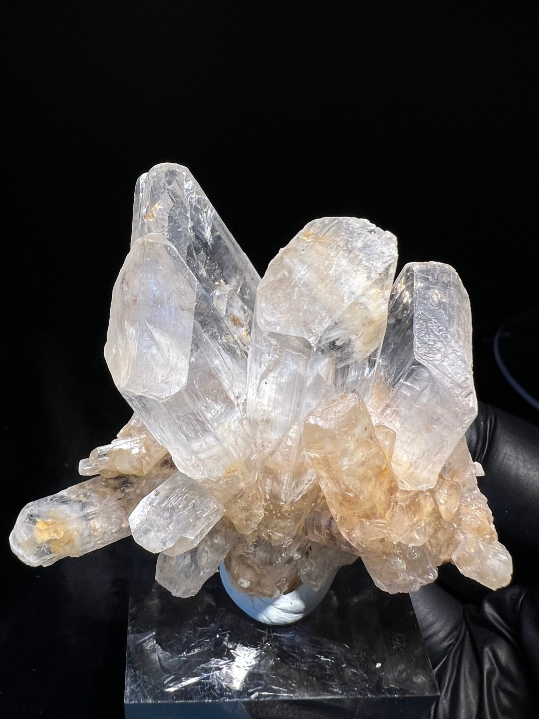 Rare Selenite Cluster Specimen - Etsy