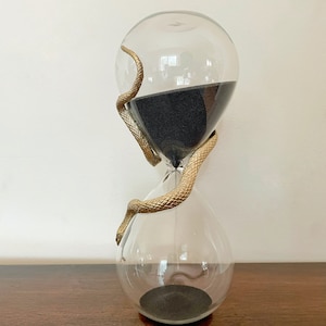 Hourglass, Snake Hourglass, Sand Timer, 30 Minute Timer, 30 Minute Sand ...
