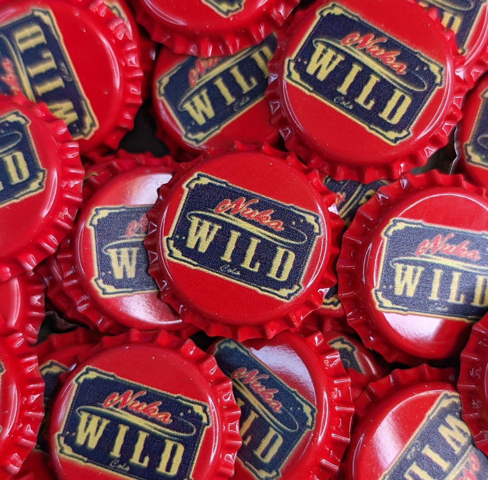 Fallout Nuka Cola Wild Bottlecaps - Fallout Inspired - Etsy