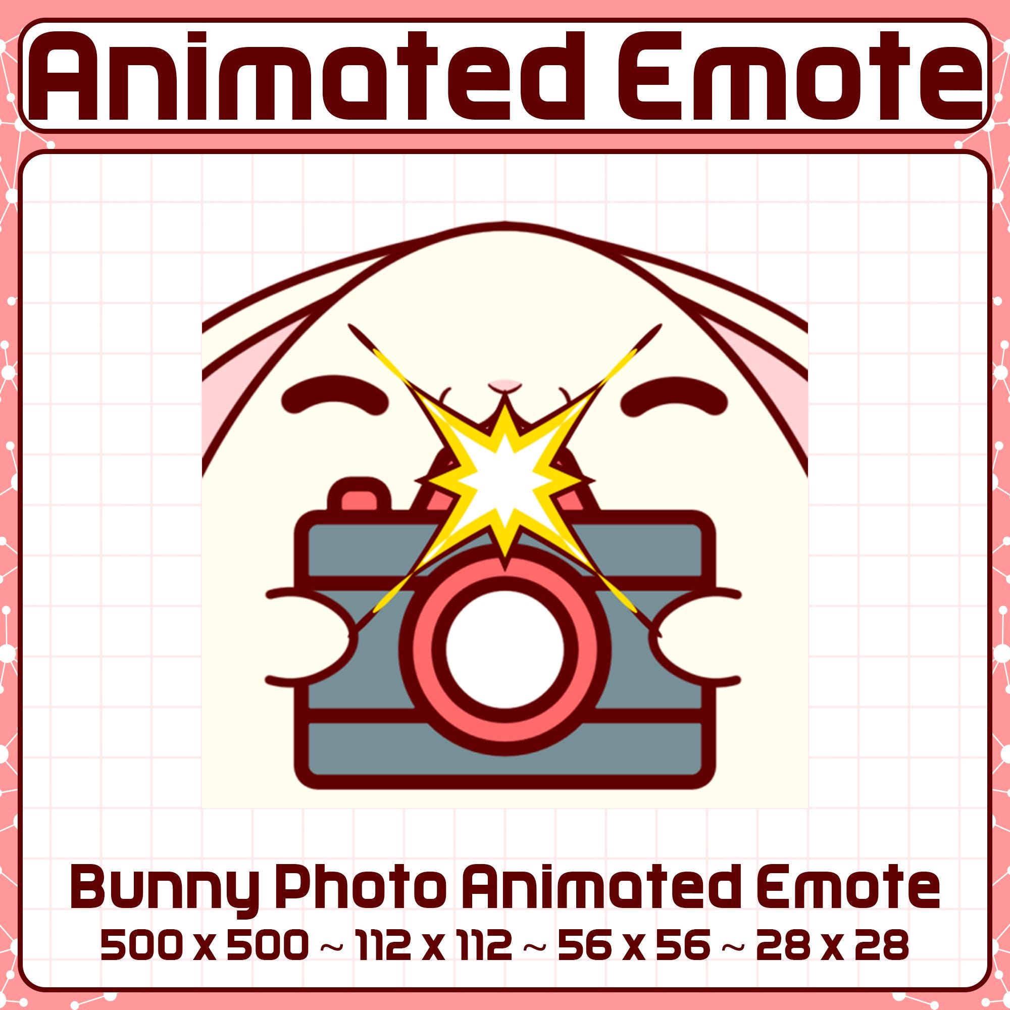 Bunny Photo Animated Emote | Chibi Bunny Taking Photo Emote, Ready to ...