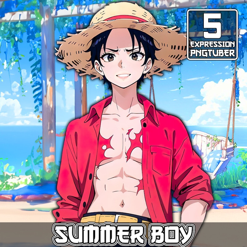 One Piece Stream Overlay - Etsy