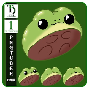 Frog Pngtuber / 1 Expressions / 2D Model With 4 PNG for Streamer ...