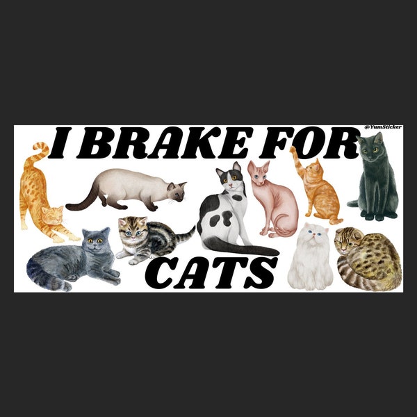 Cat Bumper Sticker - Etsy