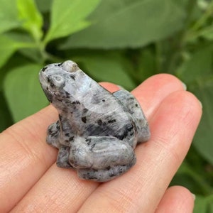 1.5natural Crystal Quartz,carved Frog Skull ,crystal Quartz Skull, Hand ...