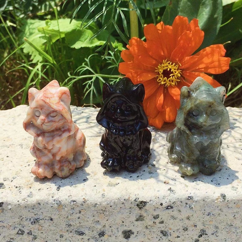 Magic Cat - Etsy