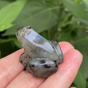 1.5natural Crystal Quartz,carved Frog Skull ,crystal Quartz Skull, Hand ...