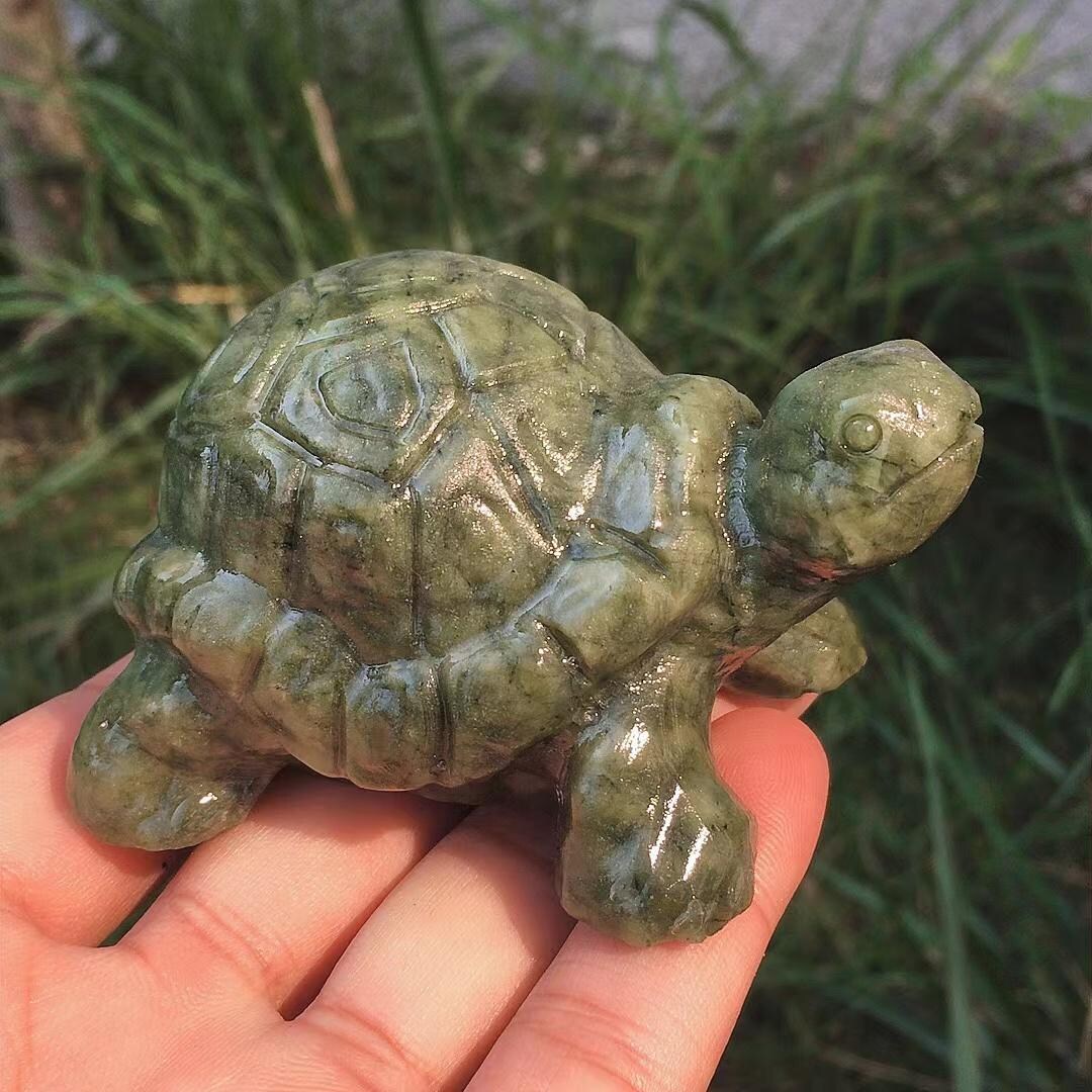 Hand Carved Crystal Turtle: Healing Energy Stone, Cuora Trifasciata - Etsy