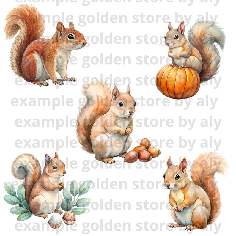 10 Watercolor Squirrel Clipart Autumn Squirrel Nursery Clipart Cute ...