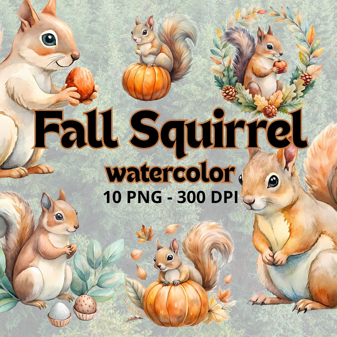 10 Watercolor Squirrel Clipart Autumn Squirrel Nursery Clipart Cute ...
