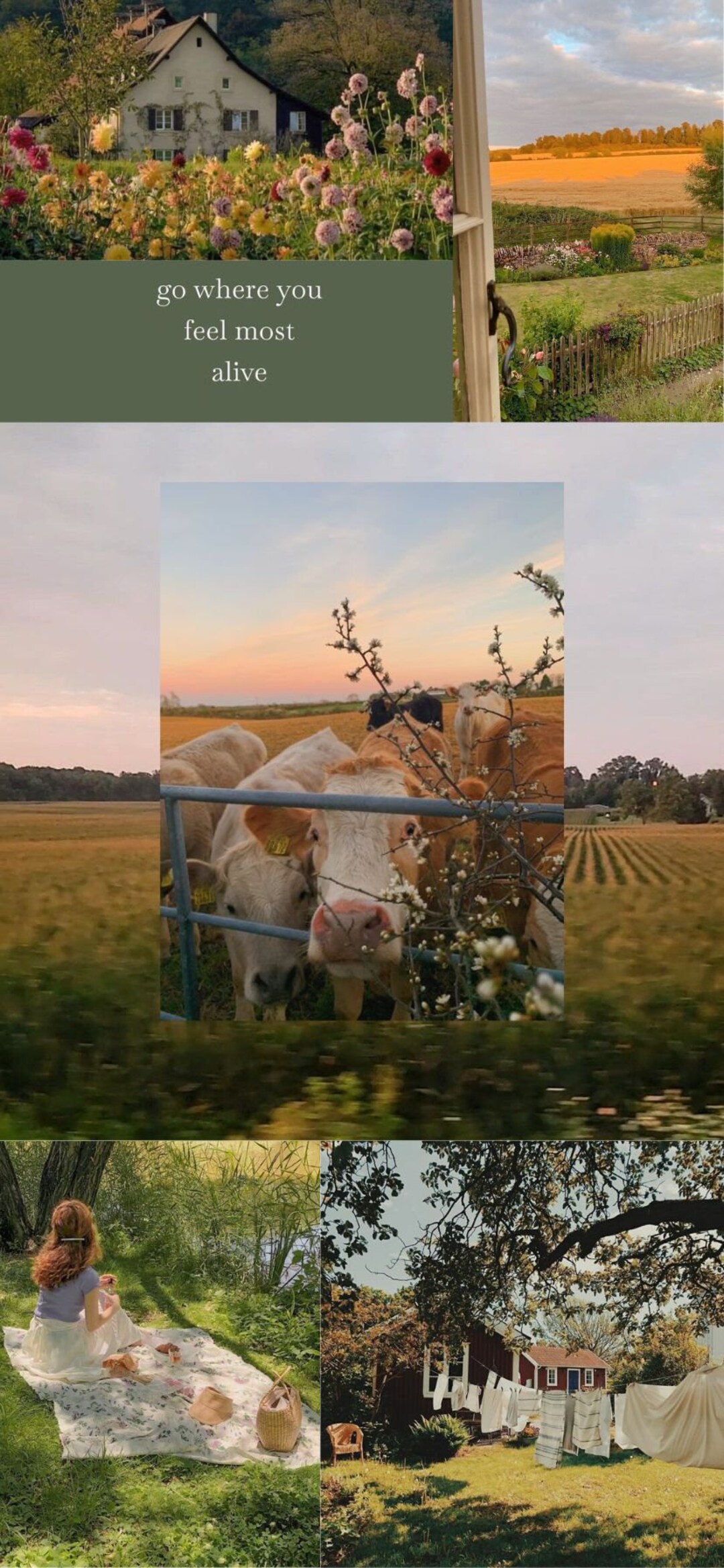 Cottagecore Digital Wallpaper - Etsy