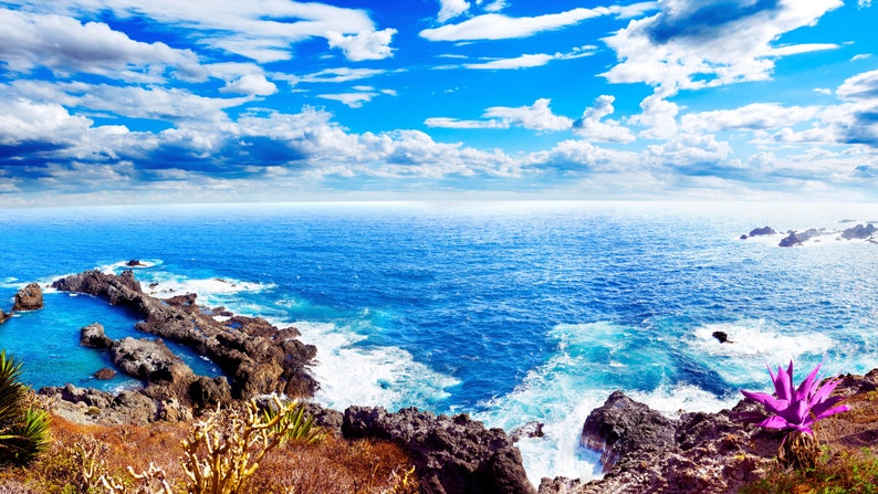 Beach Zoom Background Instant Download, Bright Sky Microsoft Teams ...