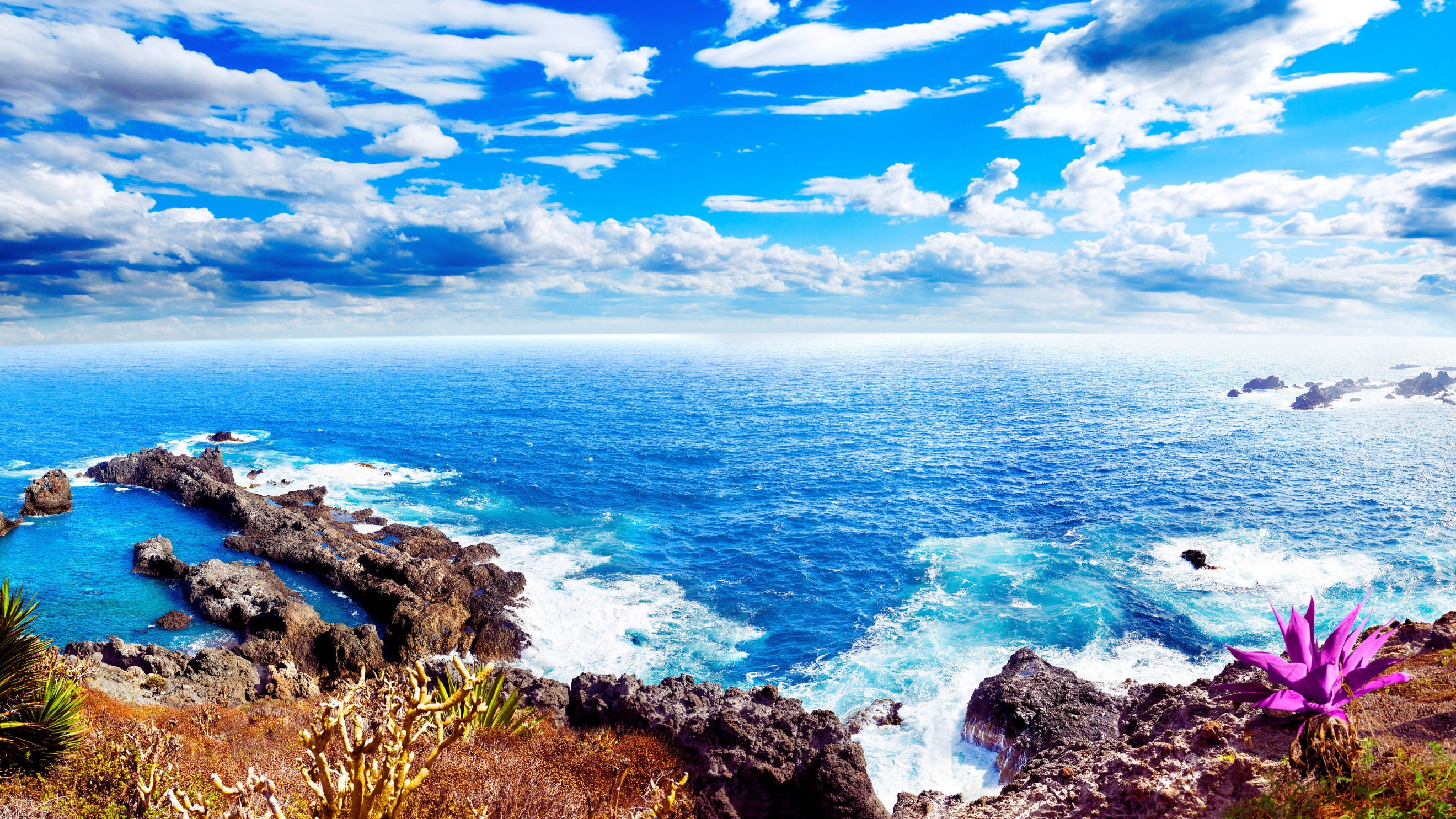 Beach Zoom Background Instant Download, Bright Sky Microsoft Teams ...