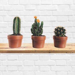 Zoom Meeting Virtual Background, Zoom Background Office, Remote Work ...