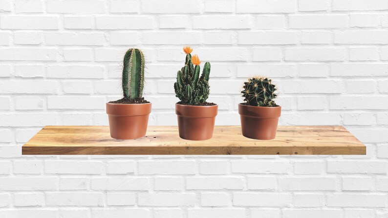 Zoom Meeting Virtual Background, Zoom Background Office, Remote Work ...