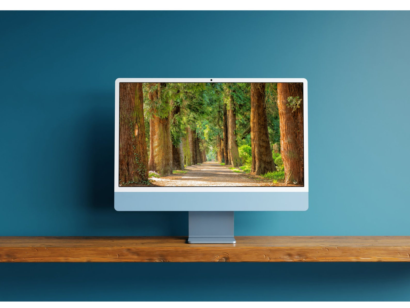 Home Office Virtual Zoom Background, Bright Forest MS Teams Digital ...