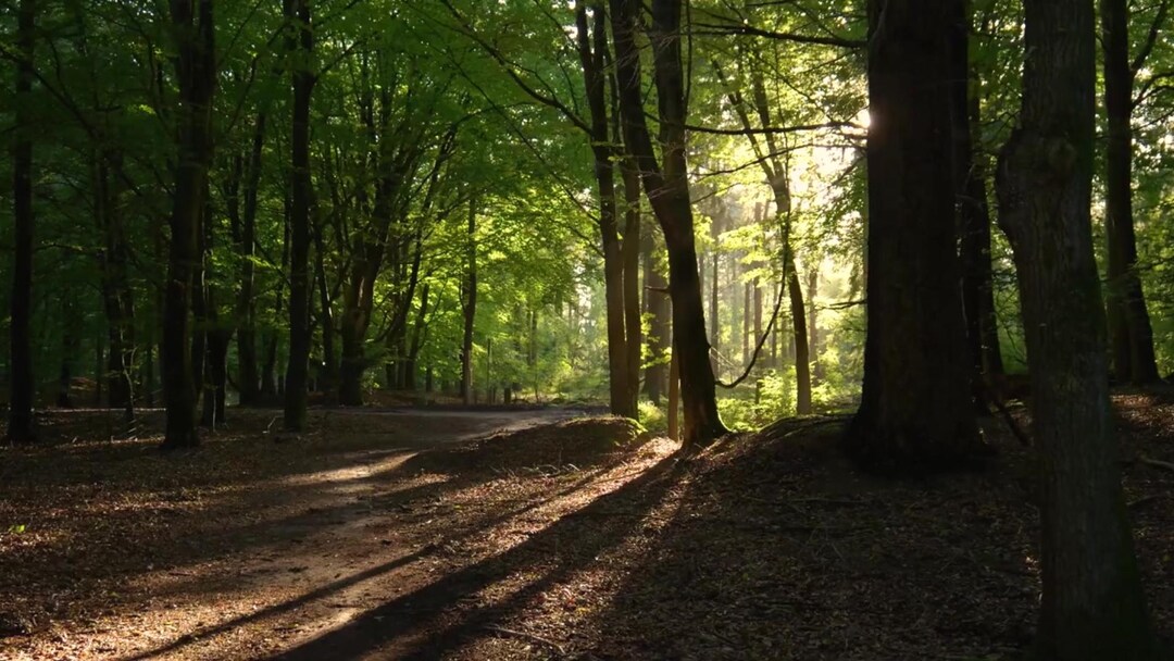 Twitch Streaming Backgrounds, Animated Streaming Background, Overlay ...