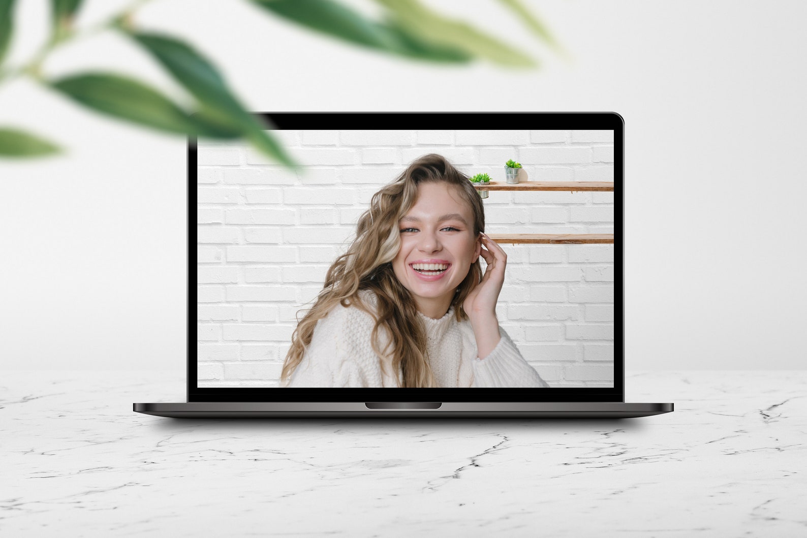 White Brick Wall Zoom Background With Shelves and Plants, Virtual ...