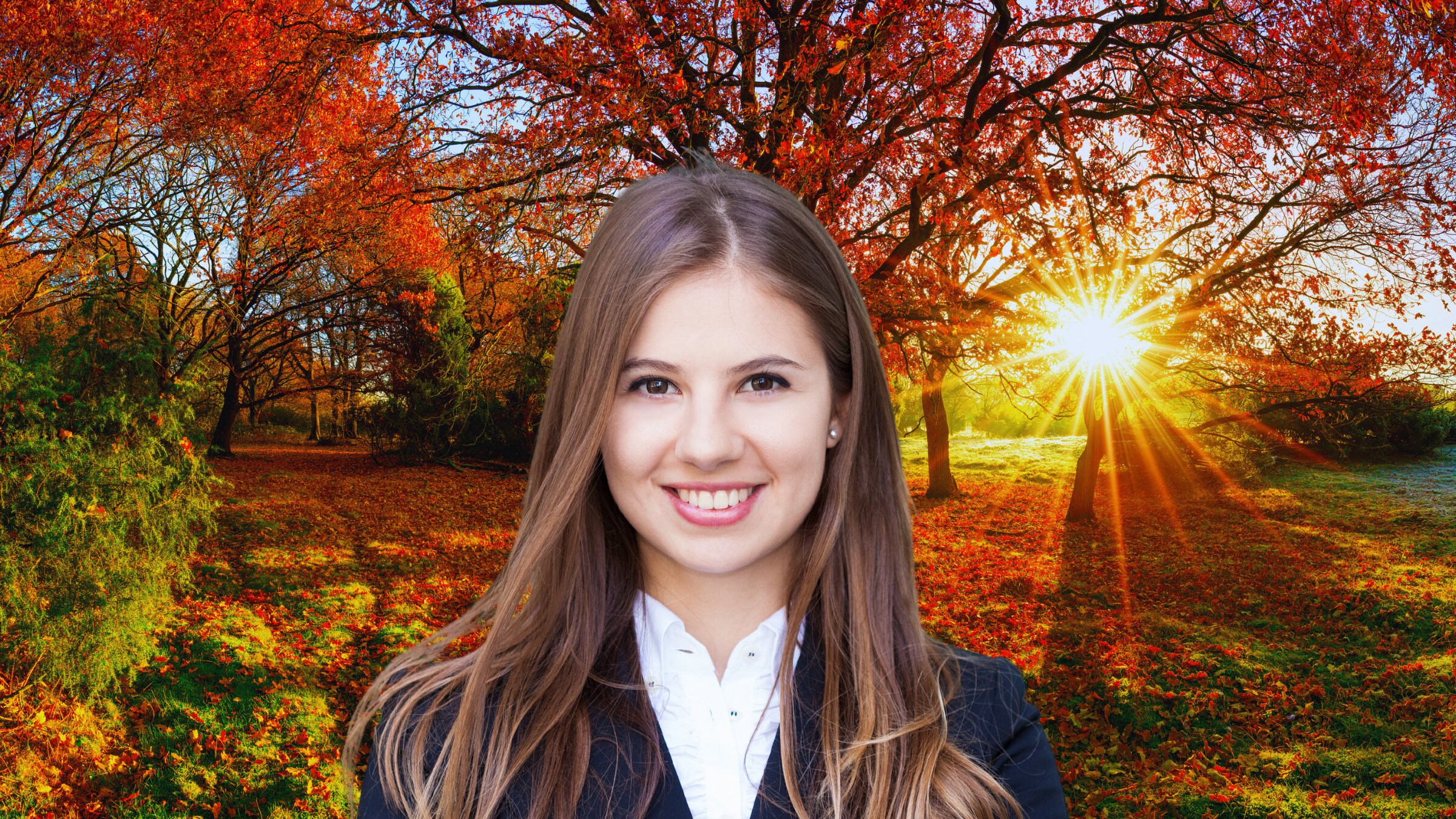 Fall Leaves Instant Download Virtual Background, Best Microsoft Teams ...