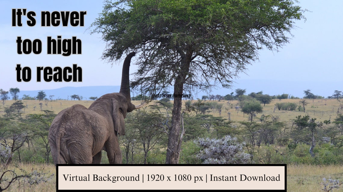 Inspiring Zoom Background for Teams, Home Office Virtual Background ...