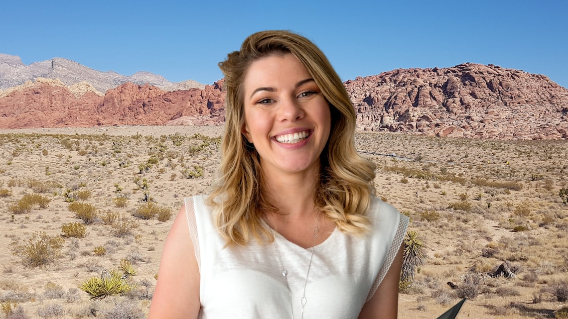 Mountain Virtual Background Zoom Meeting, Zoom Backdrop, Zoom ...