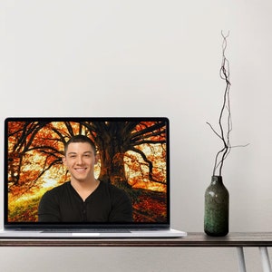 Forest Zoom Background, Fall Virtual Background, Microsoft Teams Trees ...