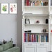 Home Office Bookcase Zoom Background, White Bookshelf Virtual ...