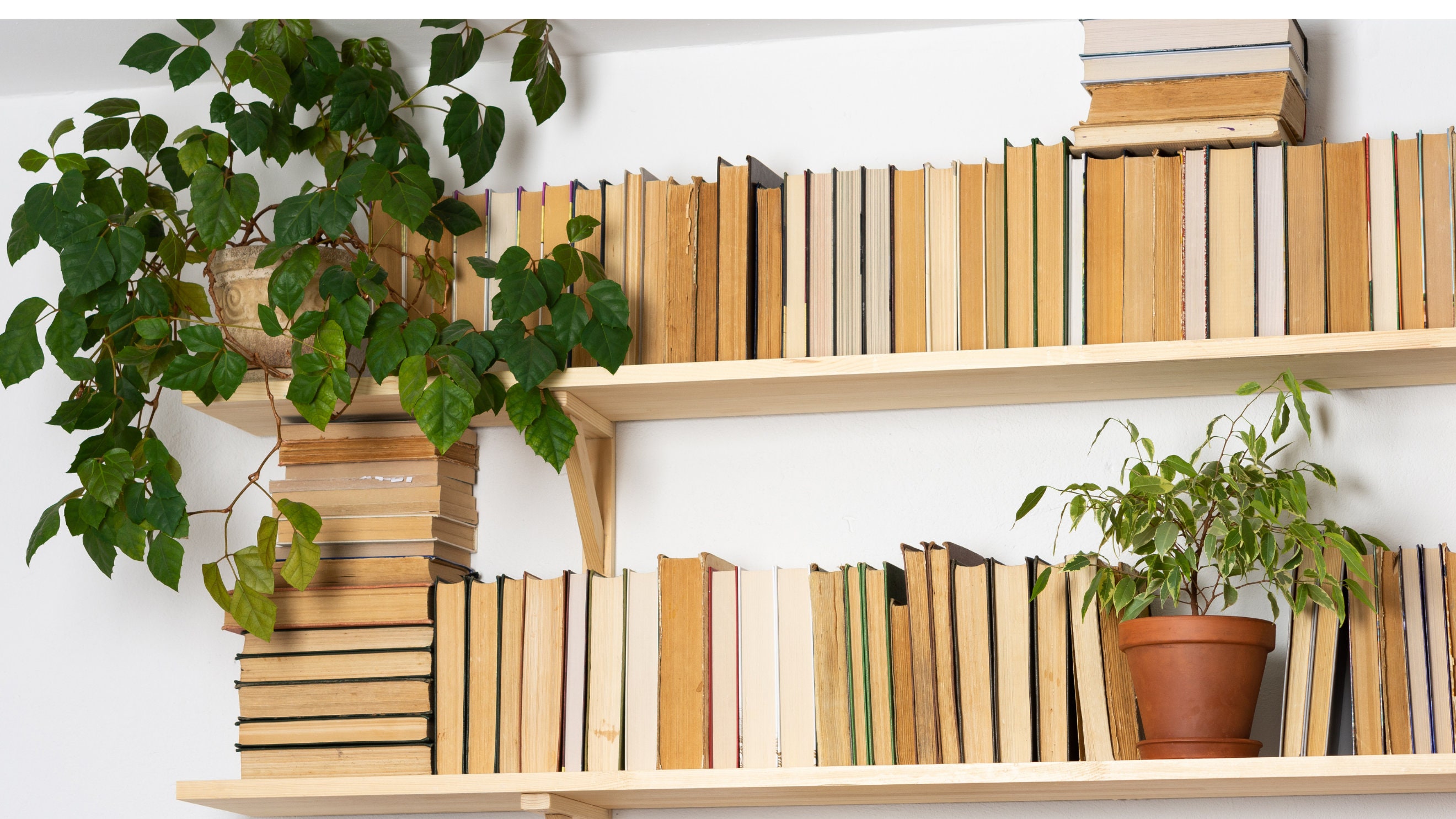 Realistic Bookcase Zoom Background, Bookshelf Virtual Background ...