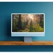 Forest Work From Home Virtual Background, MS Teams Digital Download ...