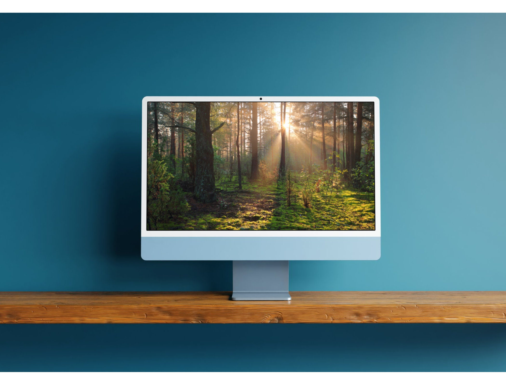 Forest Work From Home Virtual Background, MS Teams Digital Download ...