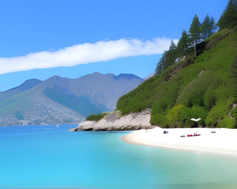 Bright Beach Backdrop, Zoom Background, Work From Home Office Backdrop ...