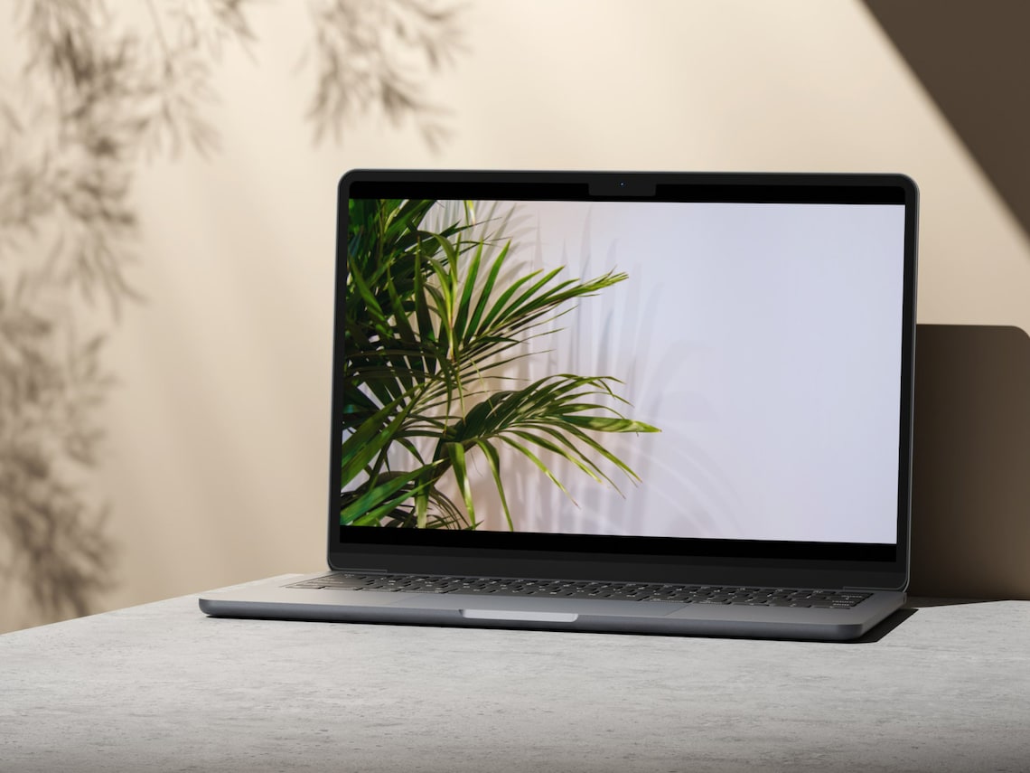 Plain Wall Virtual Zoom Background, Plant MS Teams Digital Virtual ...