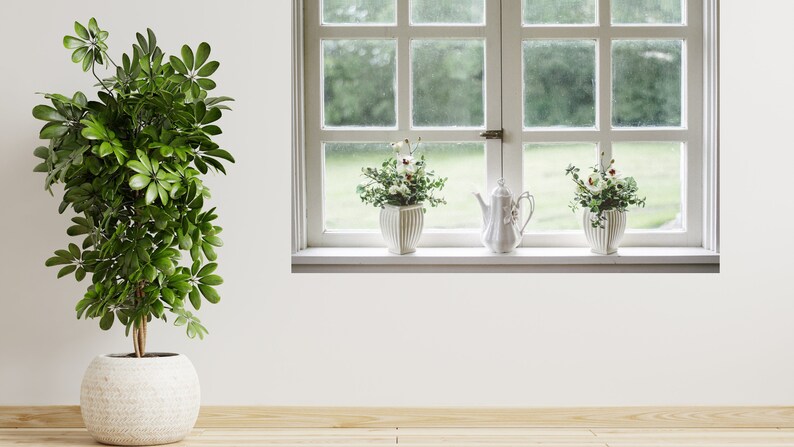 Virtual Background Zoom for Office, Minimalist Zoom Background With ...