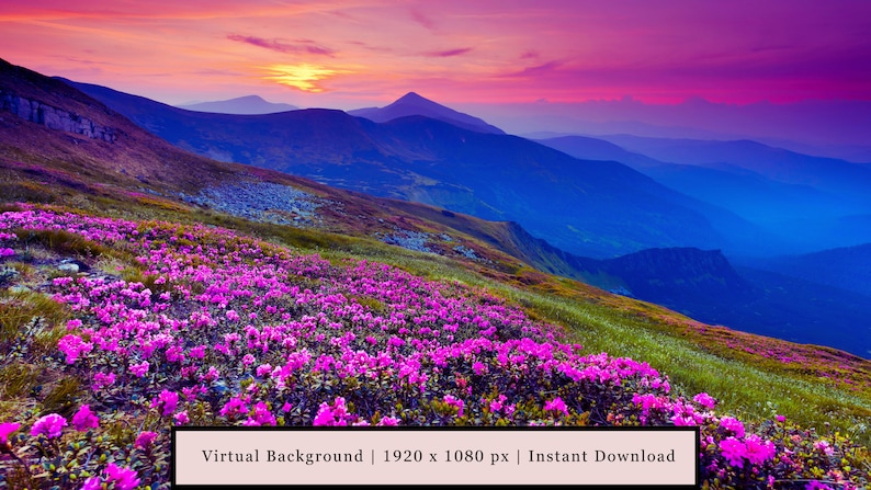 Instant Download Virtual Background, Best Microsoft Teams Background ...