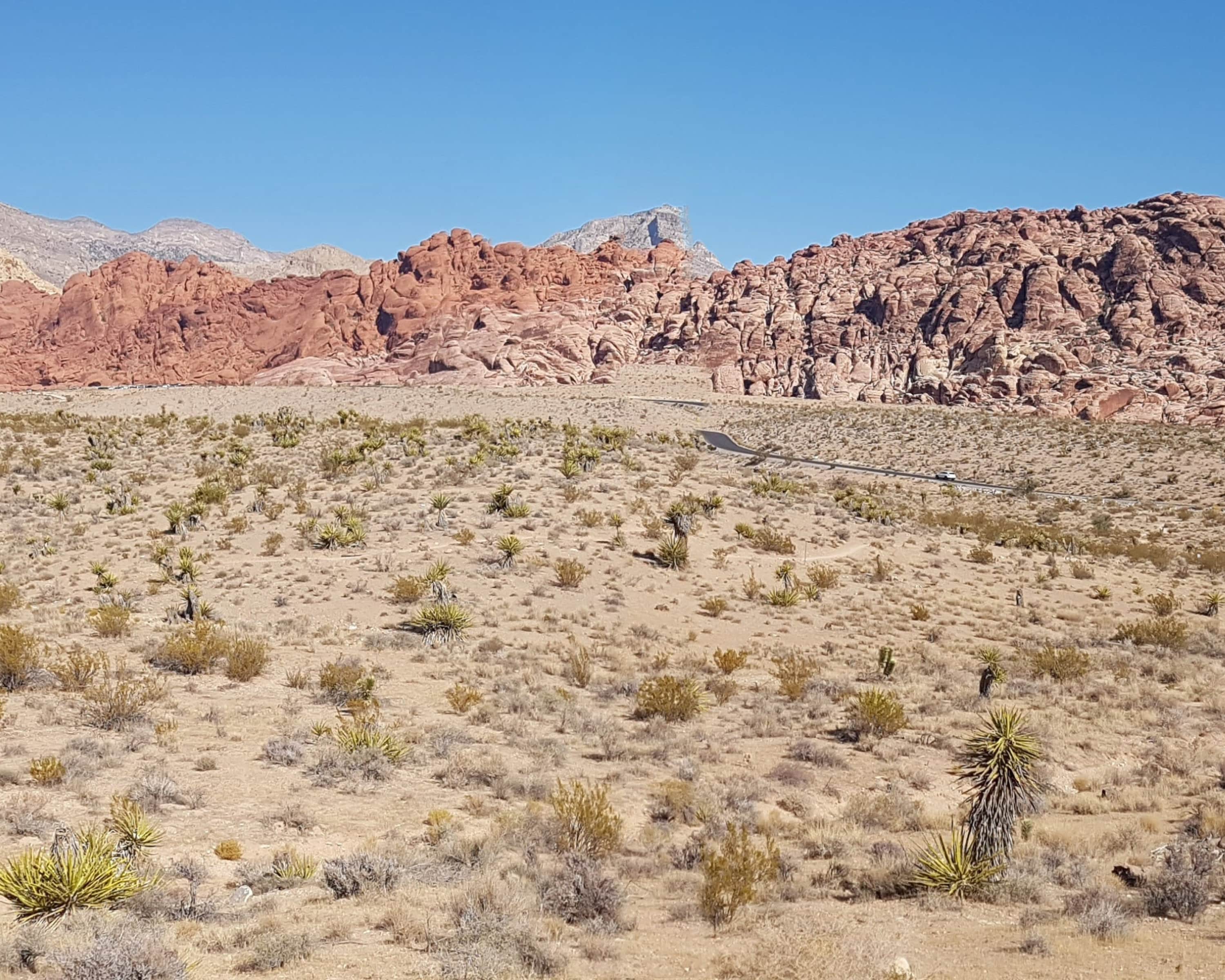 Mountain Virtual Background Zoom Meeting, Zoom Backdrop, Zoom ...