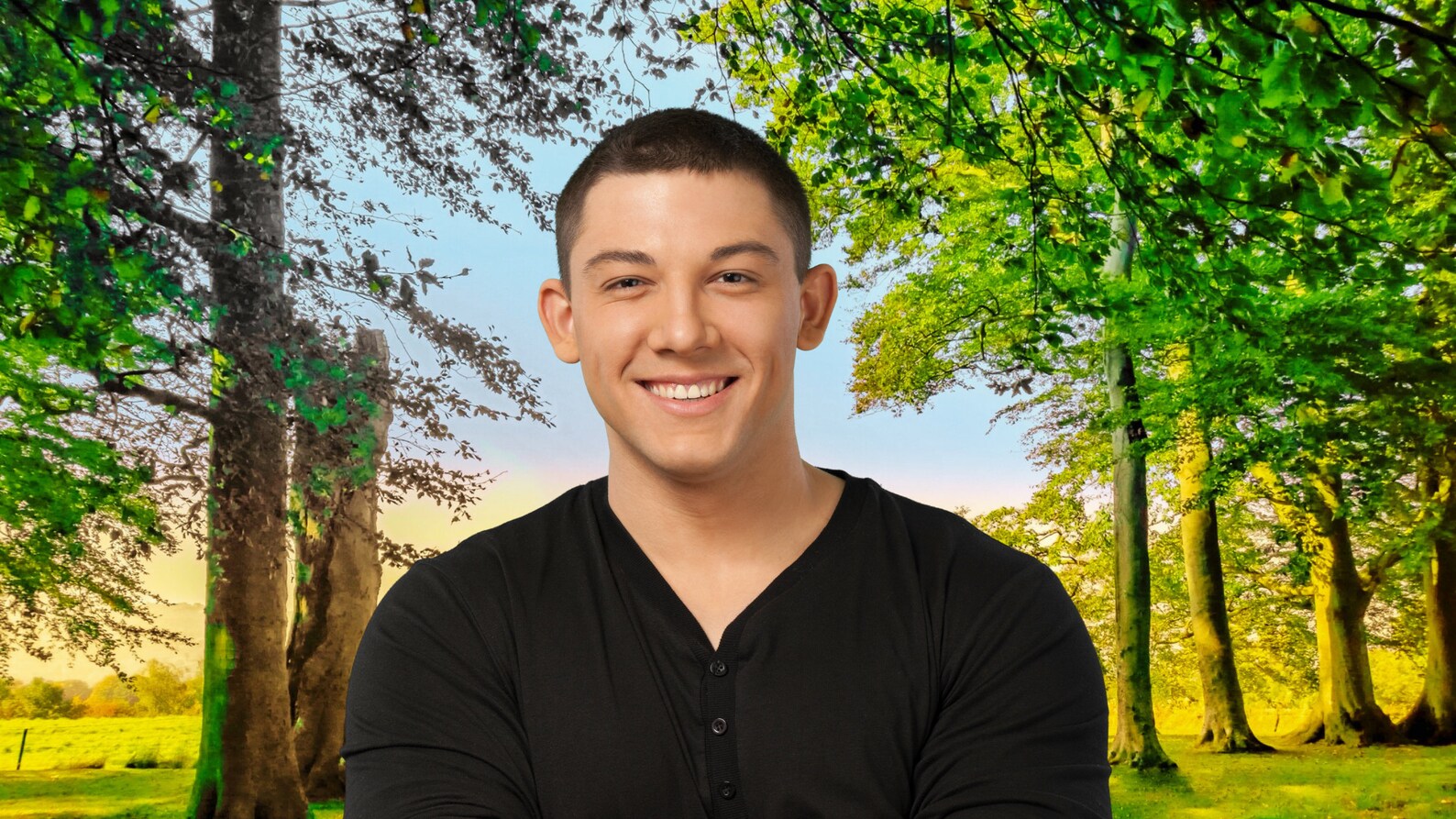 Forest Zoom Background Instant Download, Microsoft Teams Virtual ...