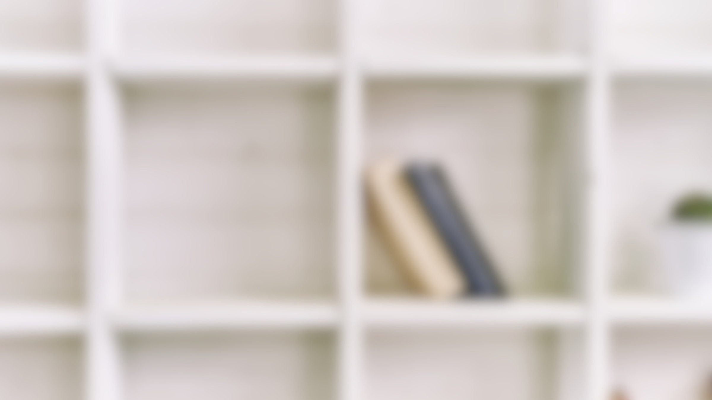 Blurred Bookcase Virtual Background, Digital Bookshelf Background ...