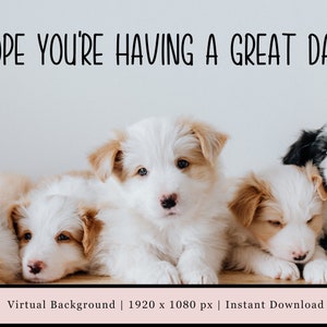 Puppy Zoom Background, Work From Home Virtual Background, MS Teams ...