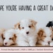 Puppy Zoom Background, Work From Home Virtual Background, MS Teams ...