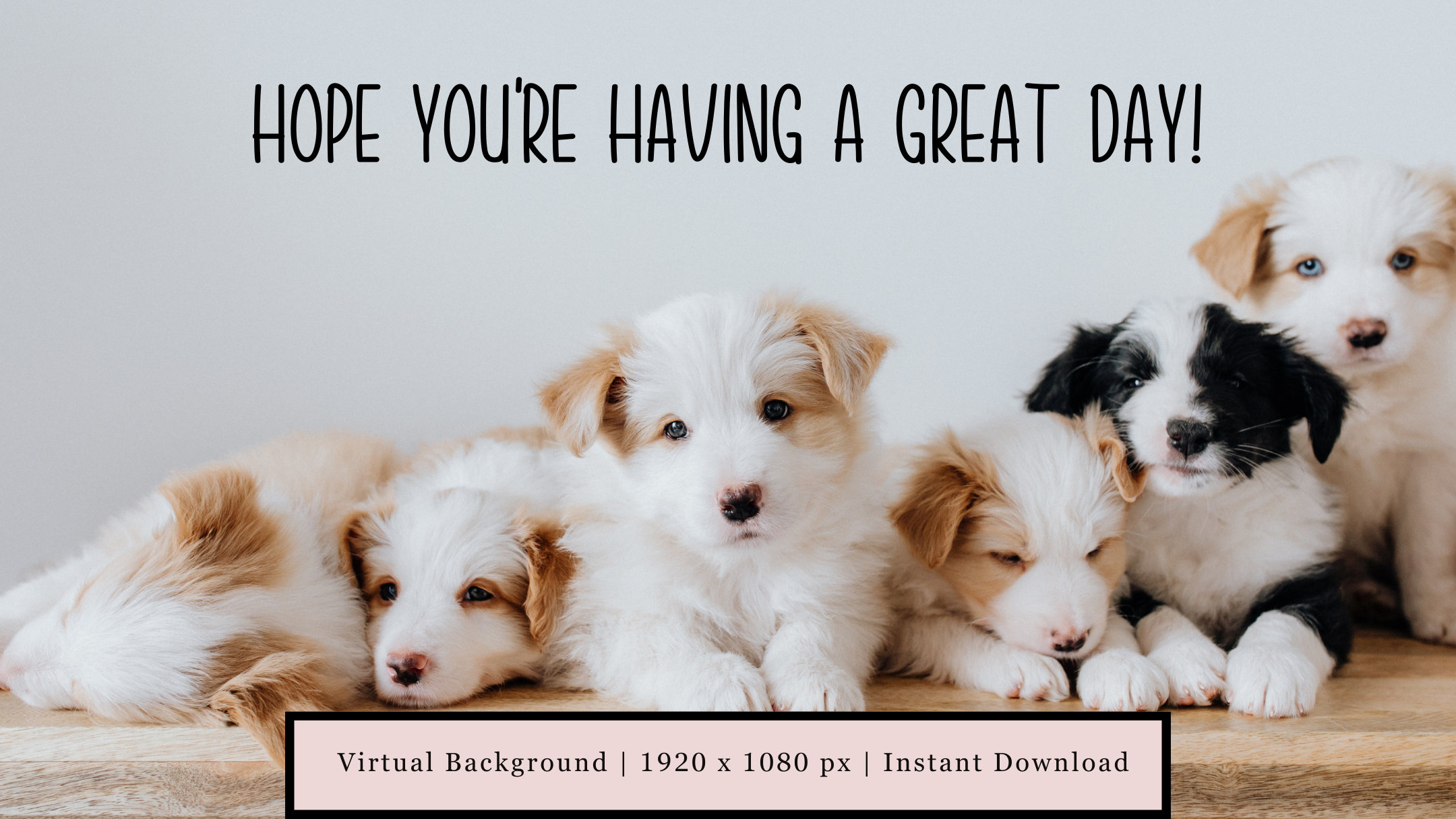Puppy Zoom Background, Work From Home Virtual Background, MS Teams ...