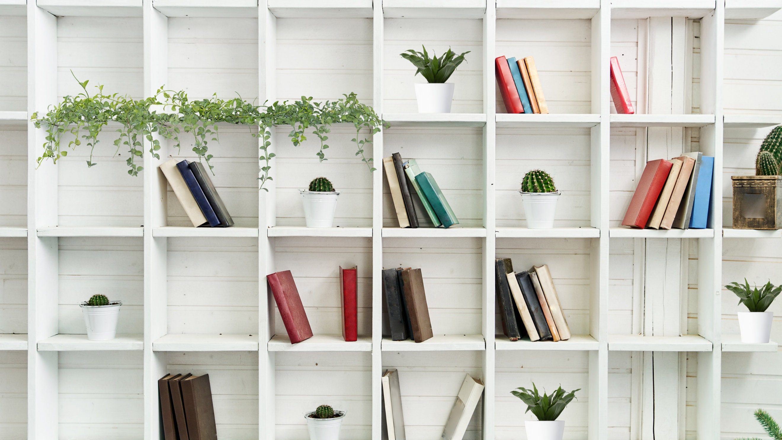 White Home Office Background With Bookcase, Zoom Virtual Background ...