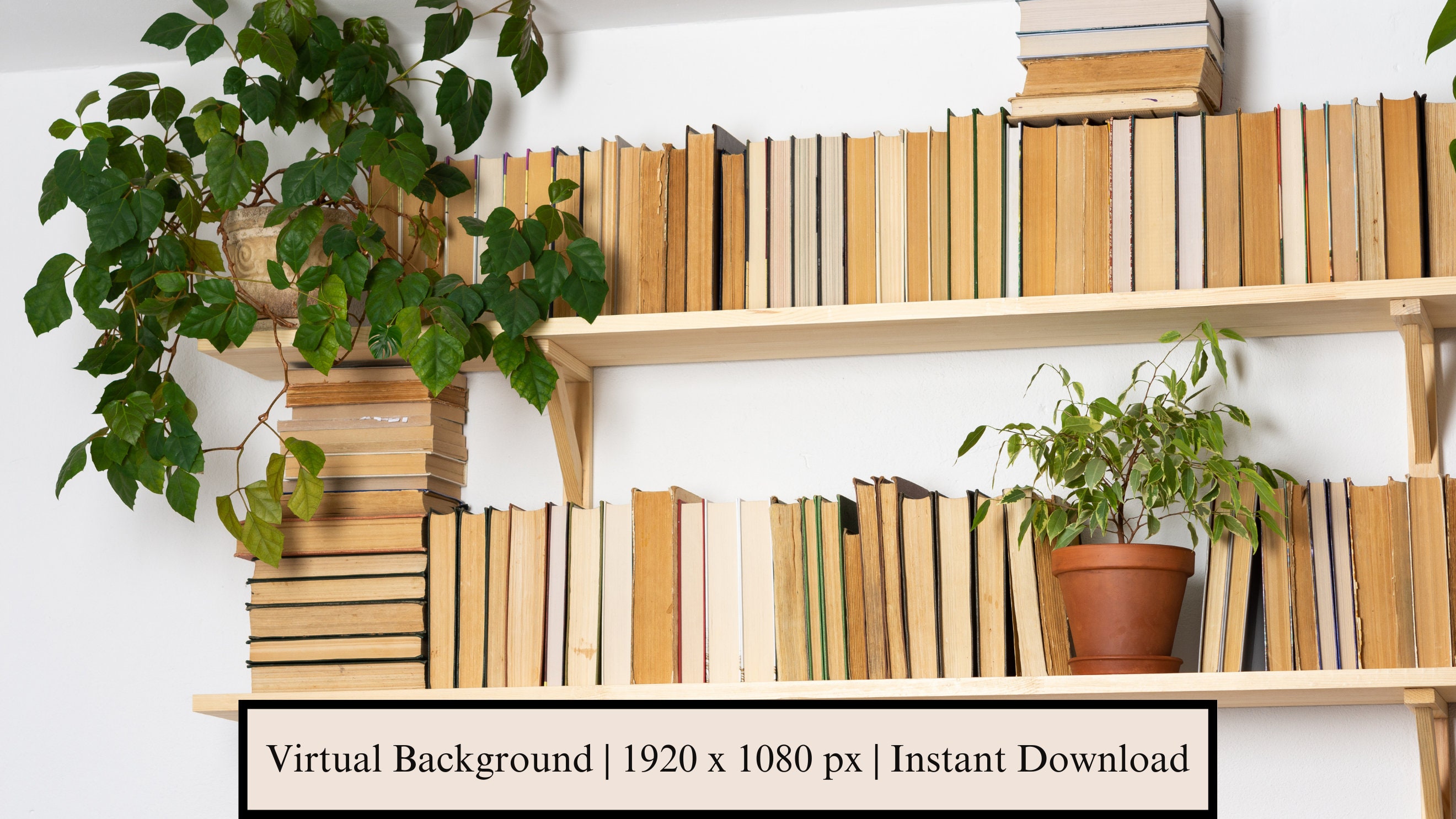 Zoom Backgrounds Bookcase, Realistic Shelves Virtual Background ...