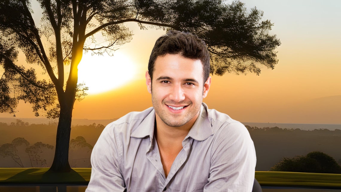 Sunset Zoom Background, Photography Backdrop, Work From Home Office ...