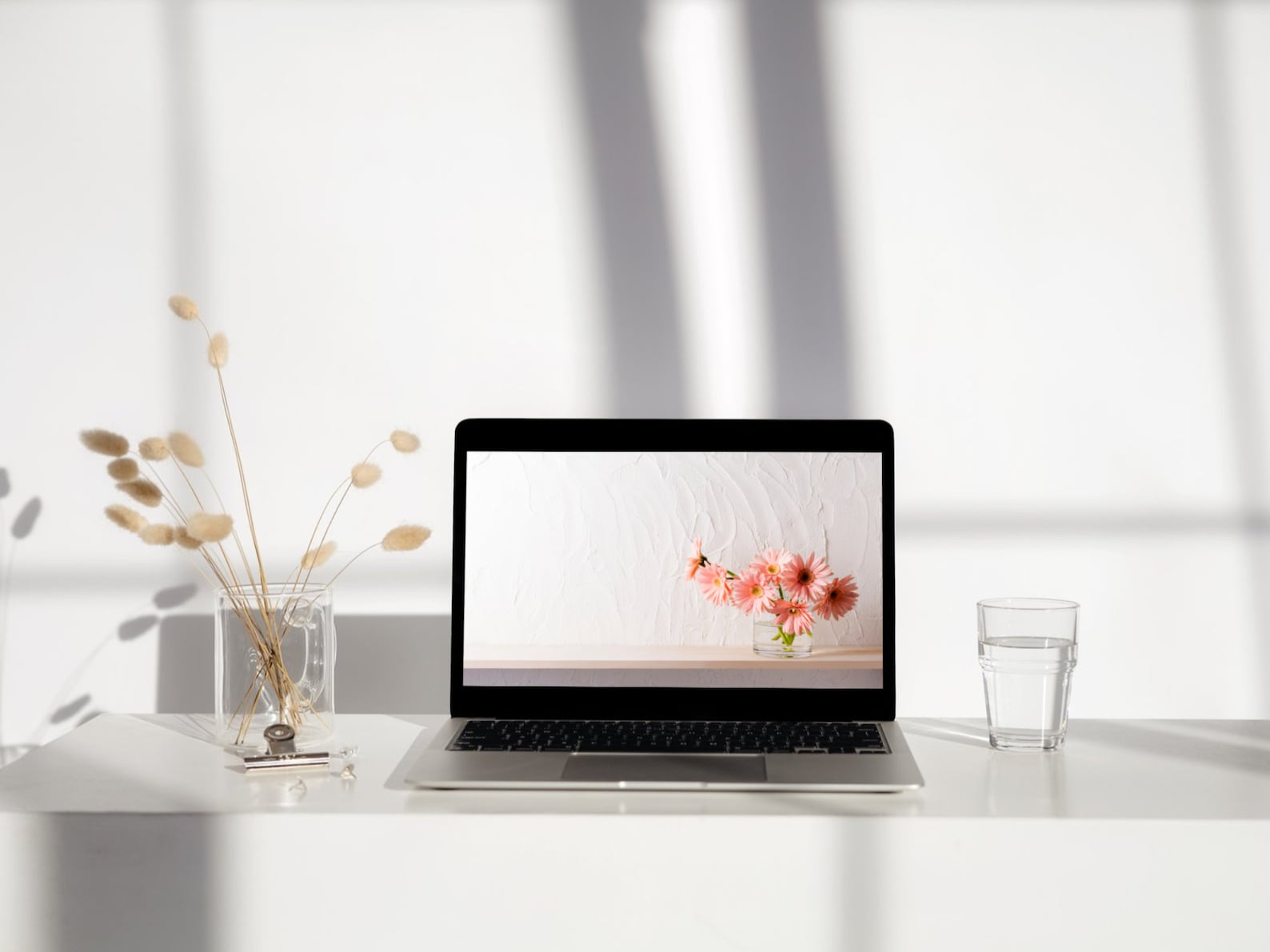 White Backdrop Virtual Zoom Background, MS Teams Digital Download ...