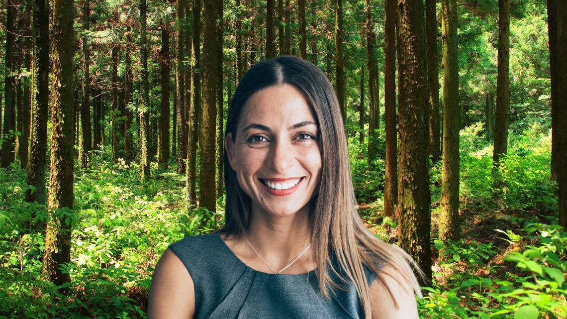 Forest Home Office Zoom Background, Virtual Backdrop Zoom Meeting ...