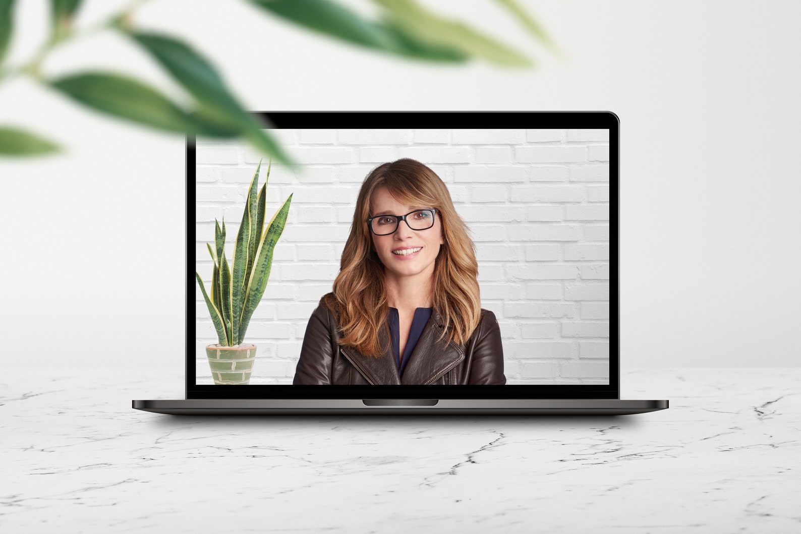 Bright White Minimalist Zoom Background With Brick Wall and Plant ...