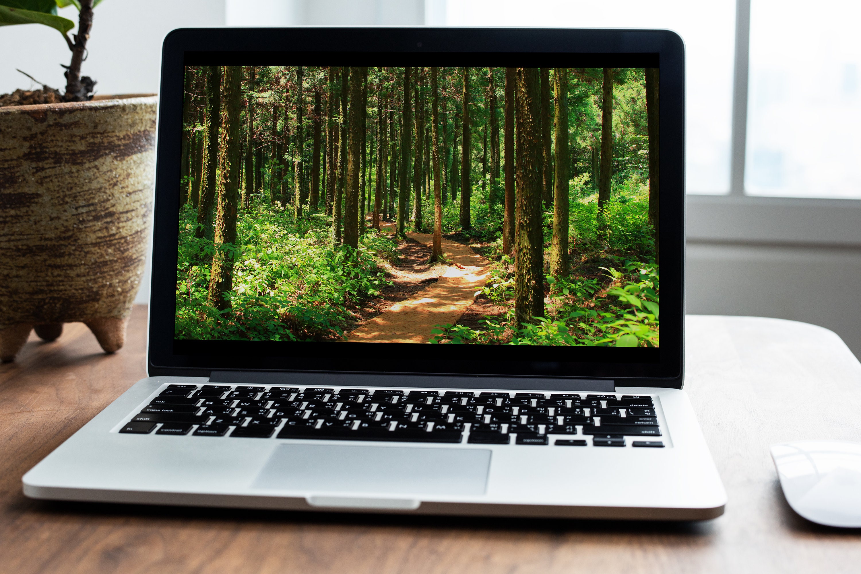 Forest Home Office Zoom Background, Virtual Backdrop Zoom Meeting ...